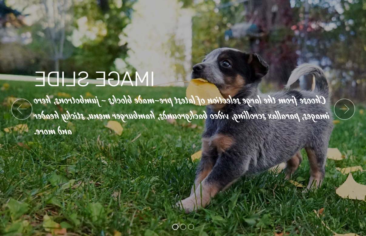 Splendid HTML5 Bootstrap Full Screen Slider Examples